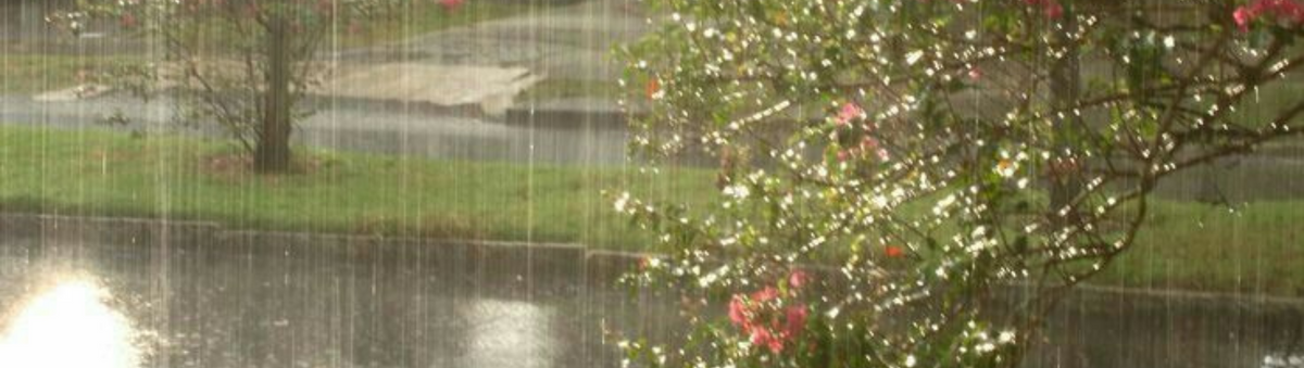 April Showers, Cosy Hours: A Rainy Day Guide - Cyberjammies